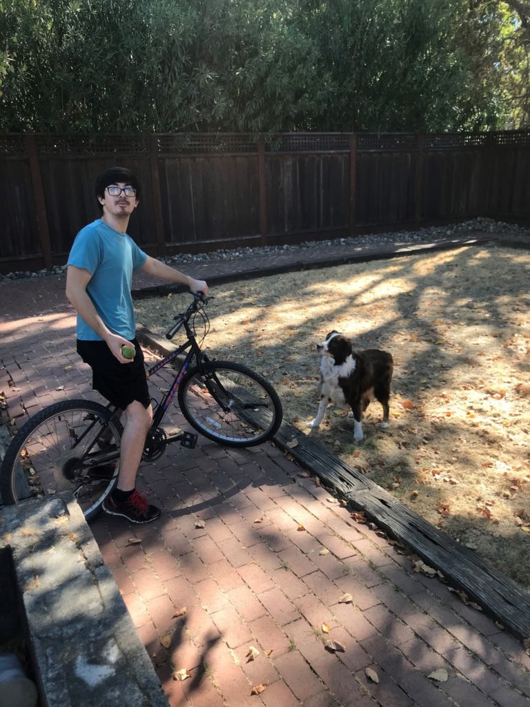 Screen Engine/ASI | Leading Research & Data Analytics Firm